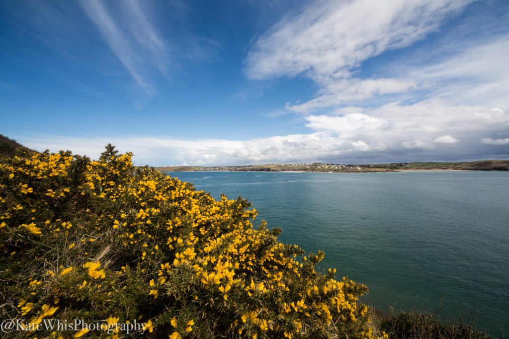 Padstow to Stepper Point | Kate Whis Photography