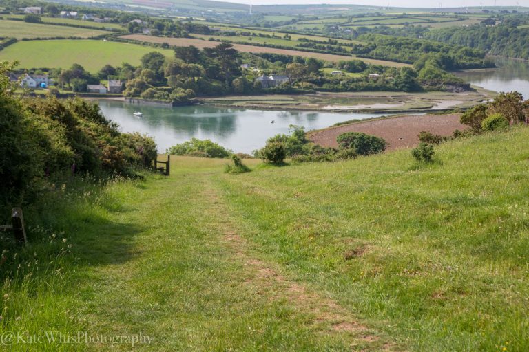 Guided Walks: Padstow to Little Petherick | Kate Whis Photography